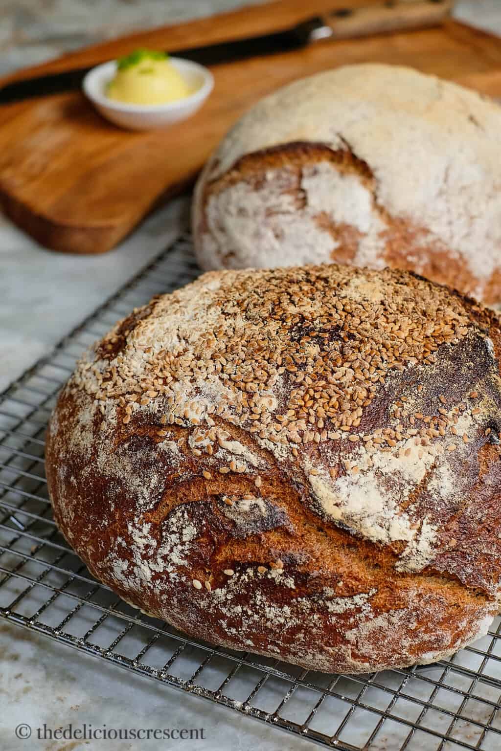 100% Whole Wheat No-Knead Bread - The Delicious Crescent